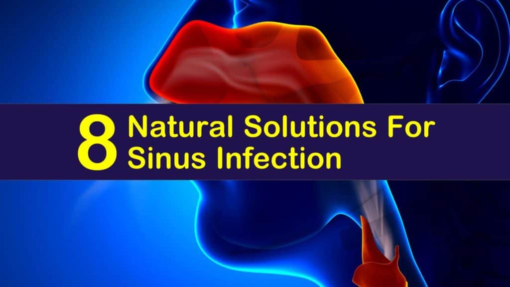 8 Natural Solutions For Sinus Infection
